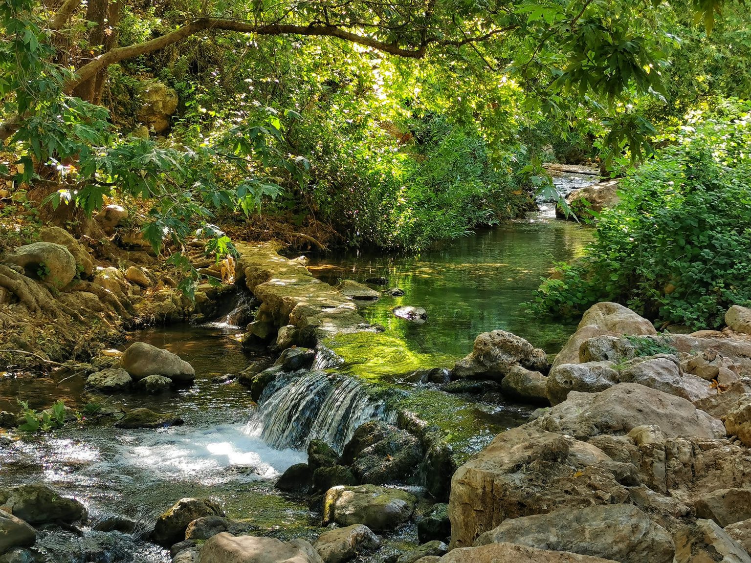 Finjan - Alternative Travel in Israel