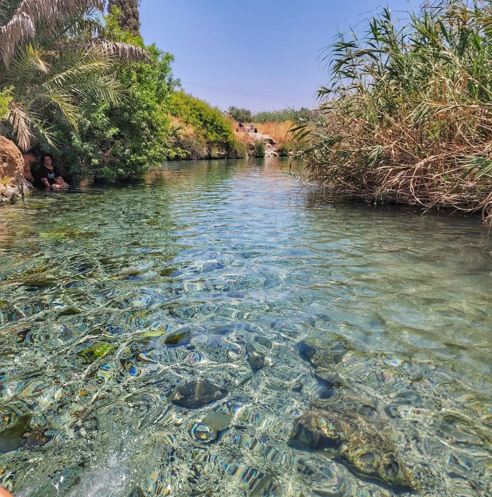 Finjan - Alternative Travel in Israel