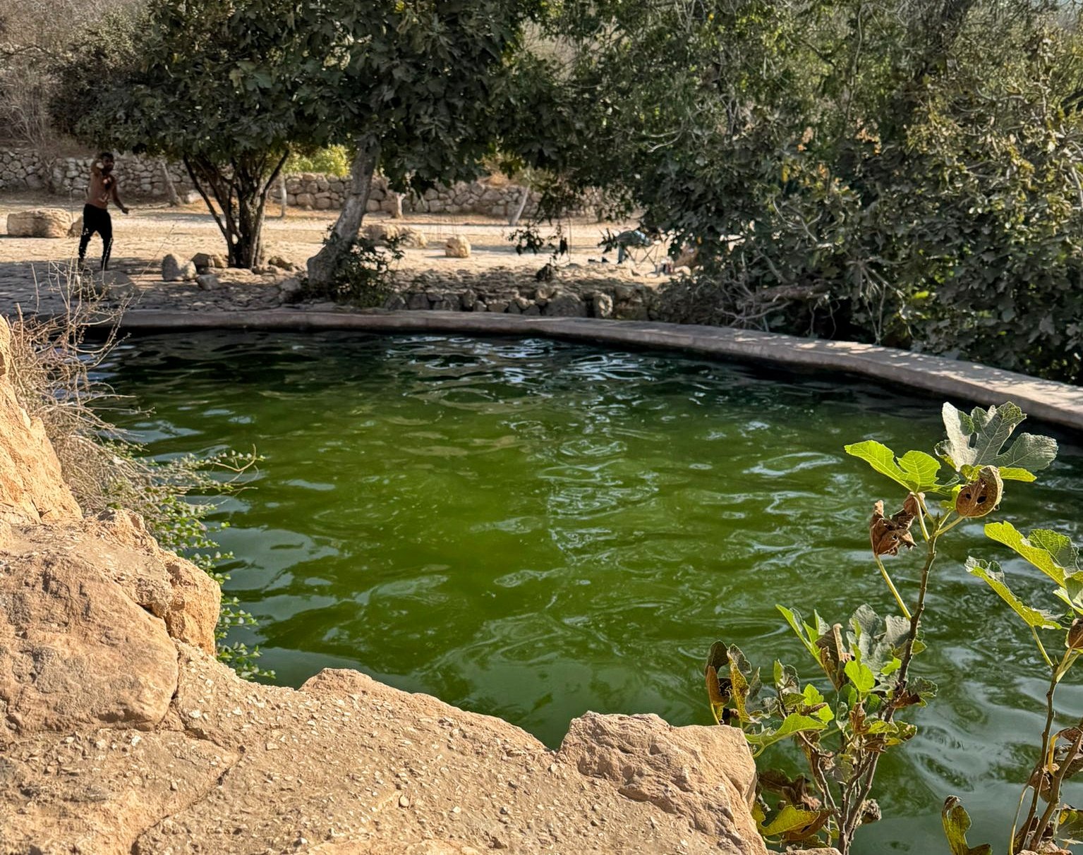 Finjan - Alternative Travel in Israel
