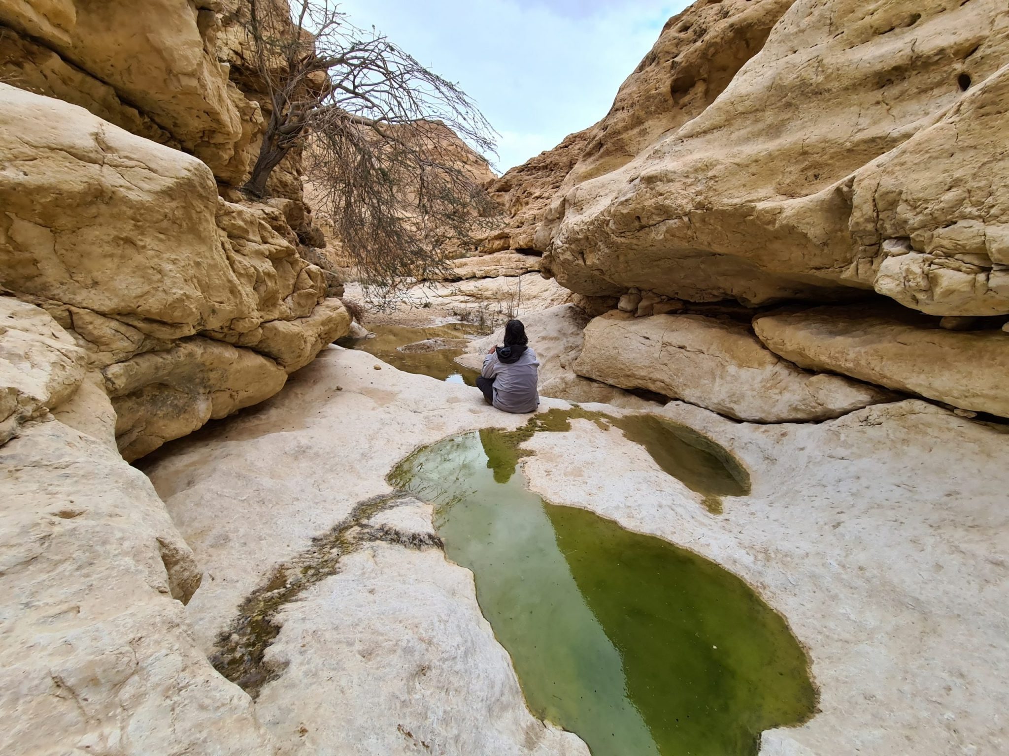 Finjan - Alternative Travel in Israel
